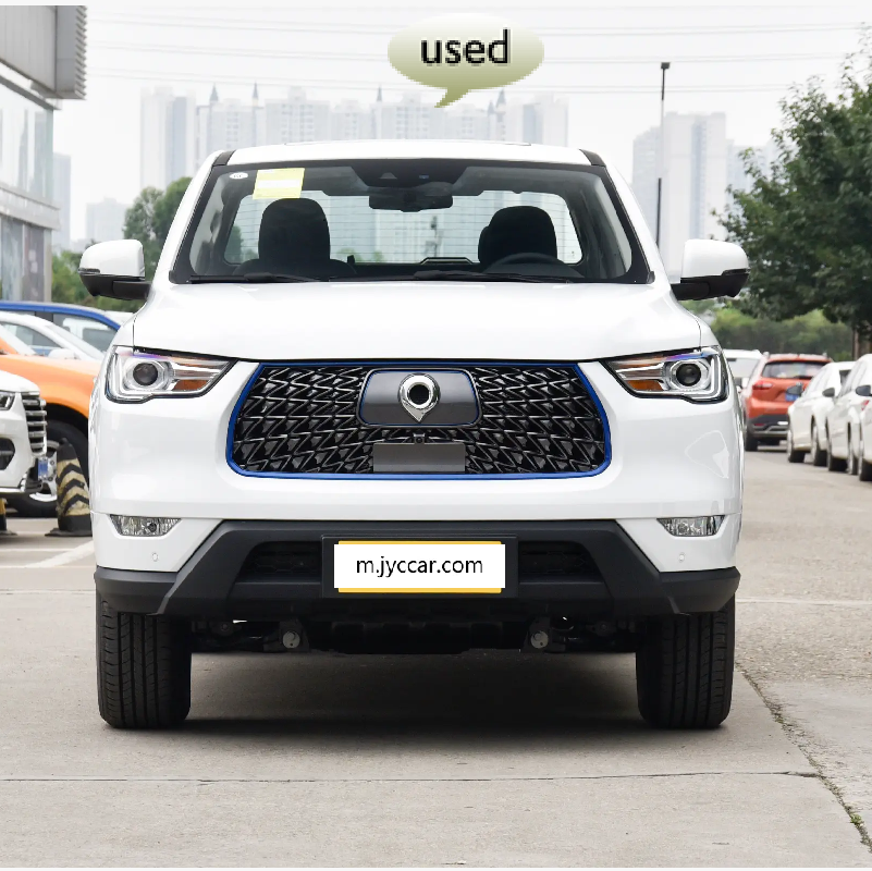 GWM POER EV Commercial Edition 2021 - 家有车汽车官网